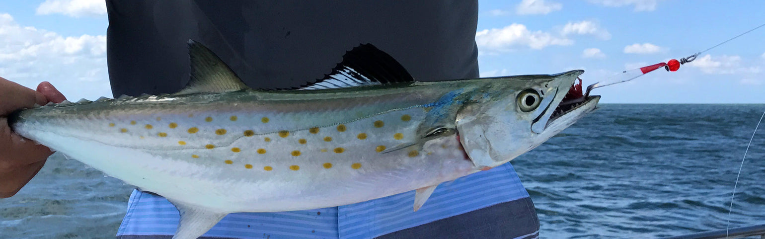 Painted Trolling Spoons | Clarkspoon