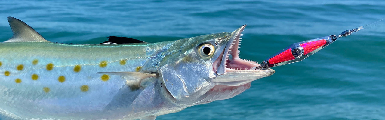 Spoon-Squid Trolling Lure | Clarkspoon