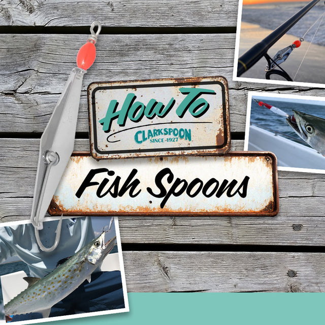How to Fish Clarkspoons and Spoonsquids - Clarkspoon