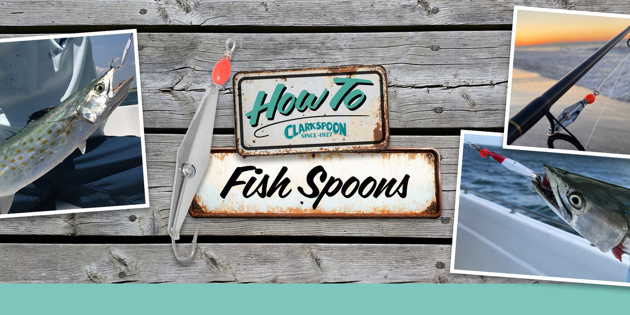 How to Fish Clarkspoons and Spoonsquids - Clarkspoon