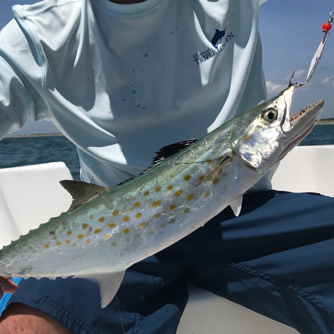 How to Fish Clarkspoons and Spoonsquids - Clarkspoon