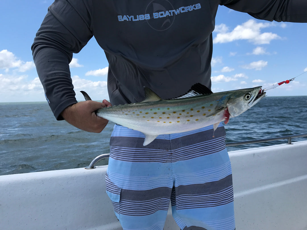 How to Fish Clarkspoons and Spoonsquids - Clarkspoon