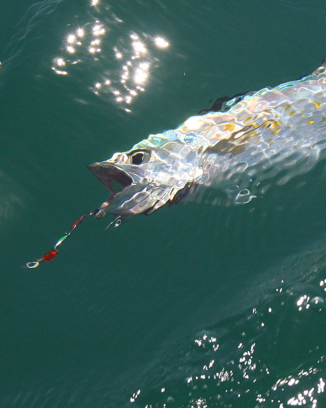 Clarkspoon - Quality Fishing Tackle Since 1927!