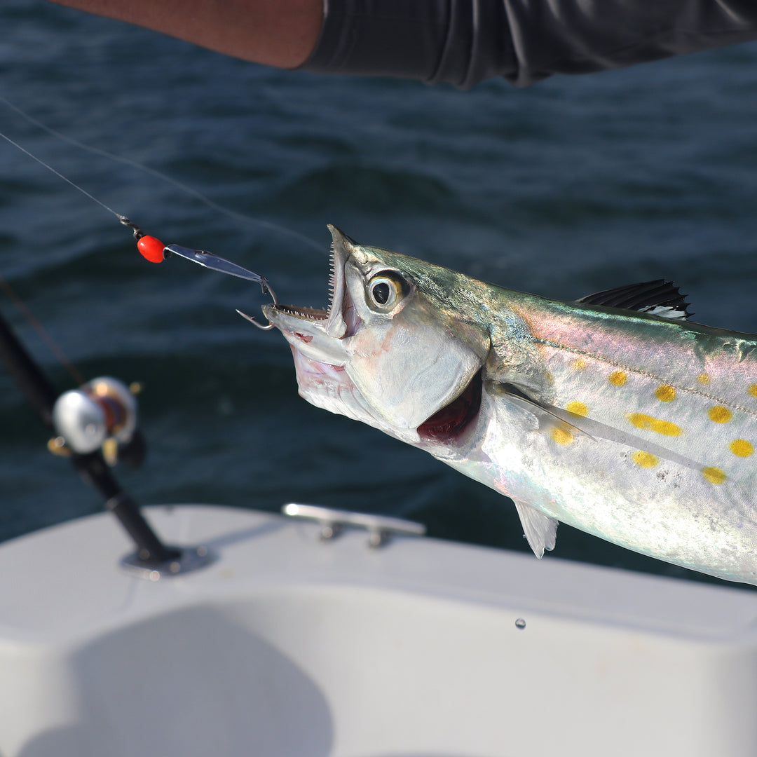 Weighted Fishing Spoon | Clarkspoon