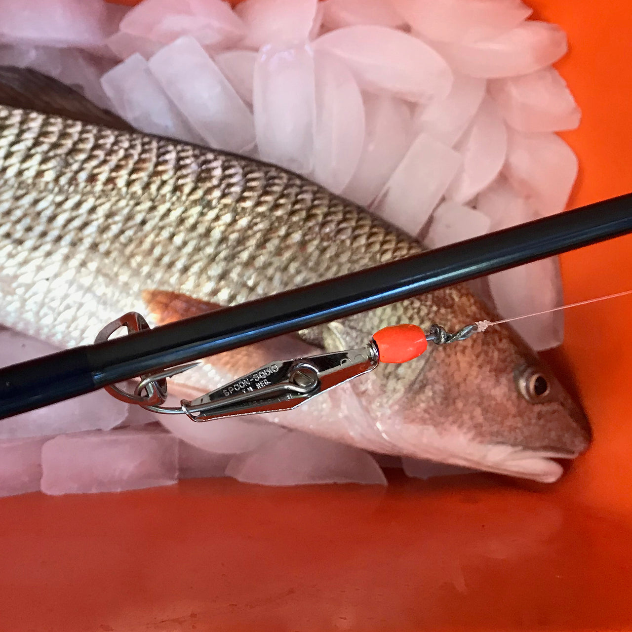 Weighted Fishing Spoon | Clarkspoon