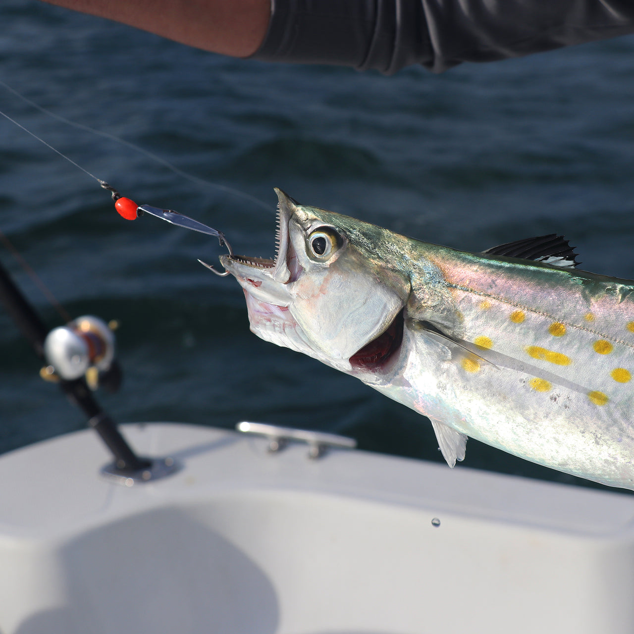 Weighted Fishing Spoon | Clarkspoon